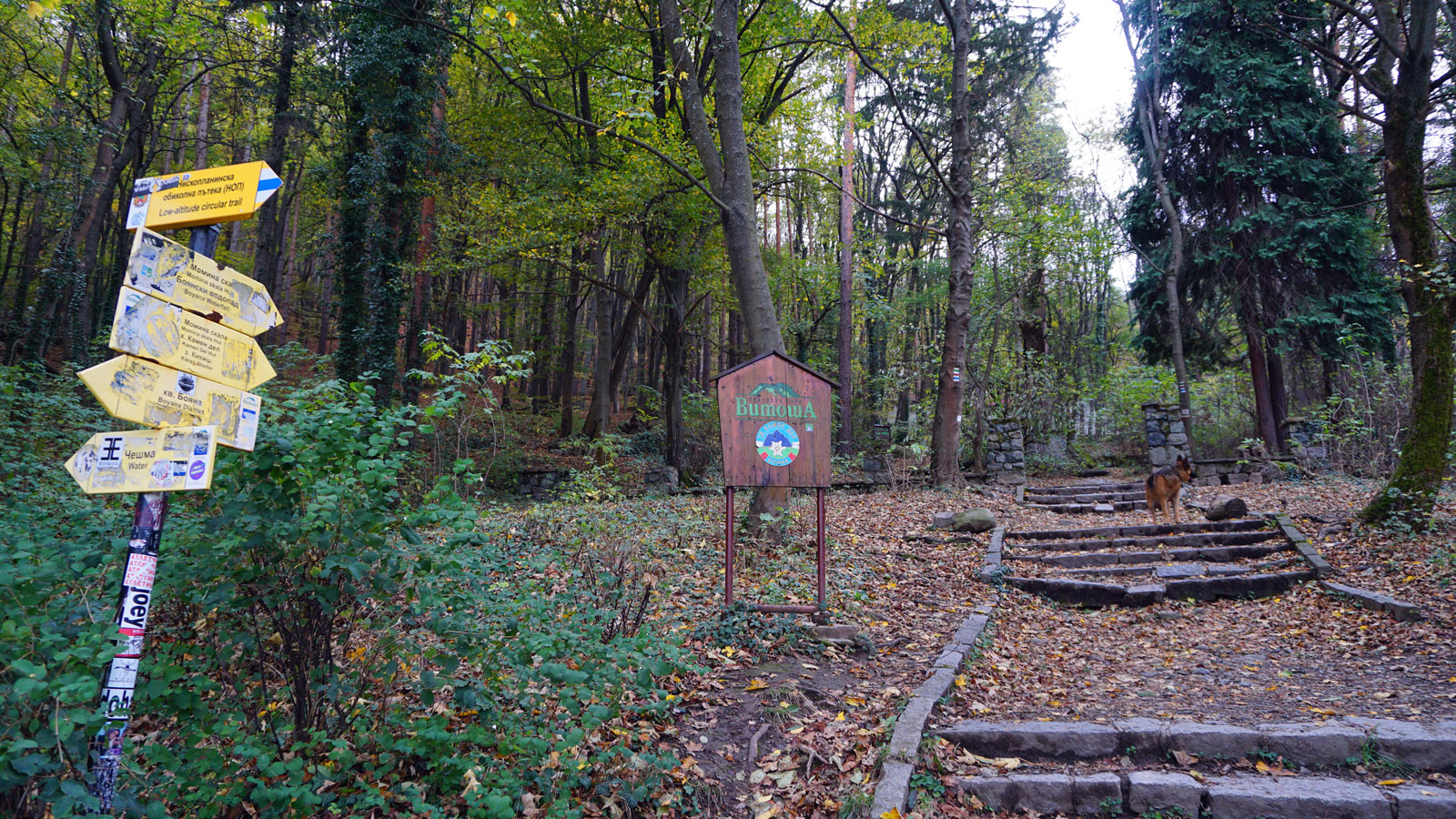 Four easy ways to reach Vitosha mountain by bus (with maps) | Beat the ...